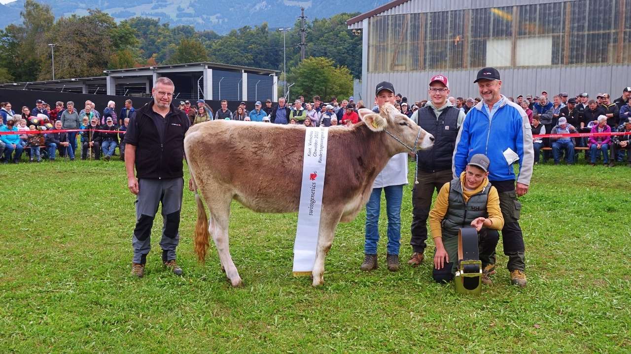 Das war die Viehschau Obwalden 2025 – Braunvieh aus der Zentralschweiz
